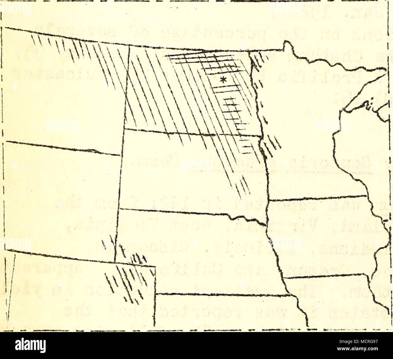 Ergot wheat hi-res stock photography and images - Alamy