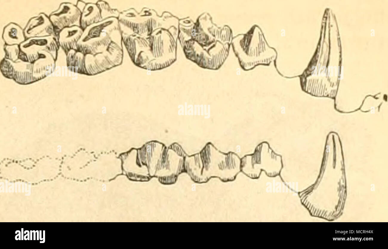 340 343 hi-res stock photography and images - Alamy