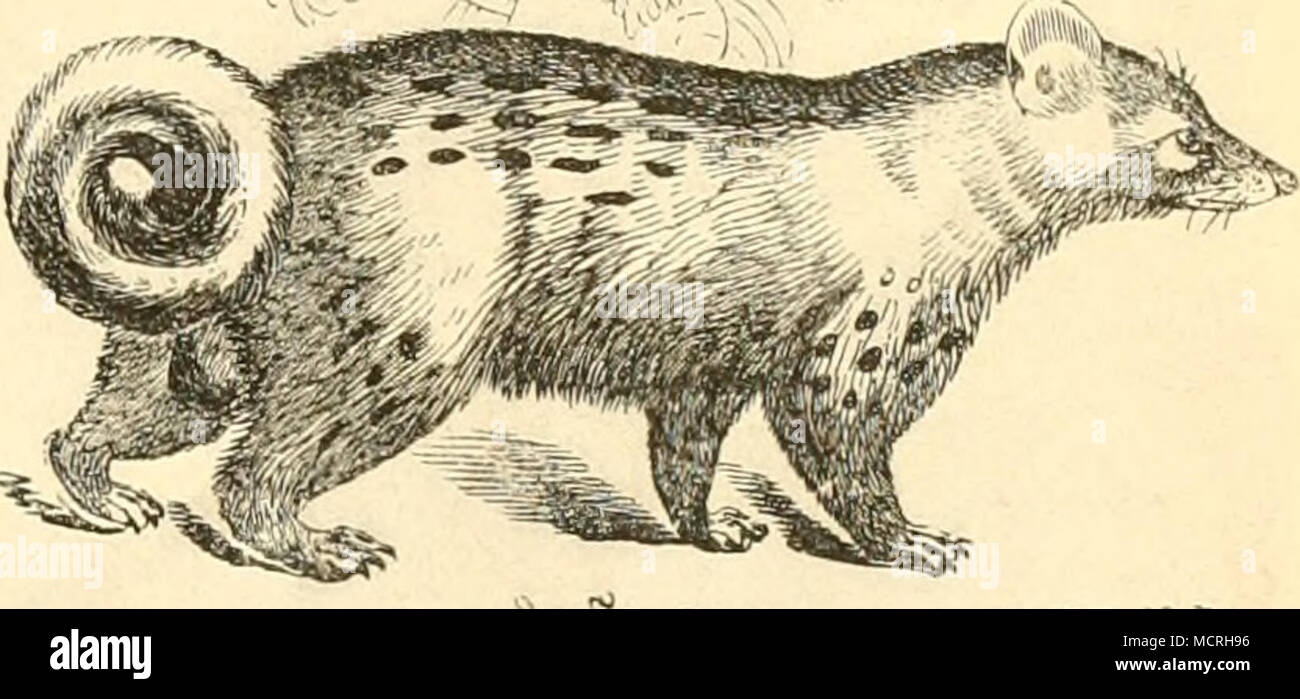 Gifl hi-res stock photography and images - Alamy