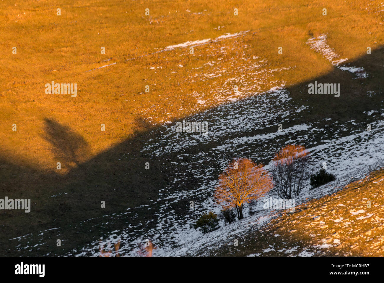 Tree shadow on a mountain with melting snow, with warm sunset colors ...