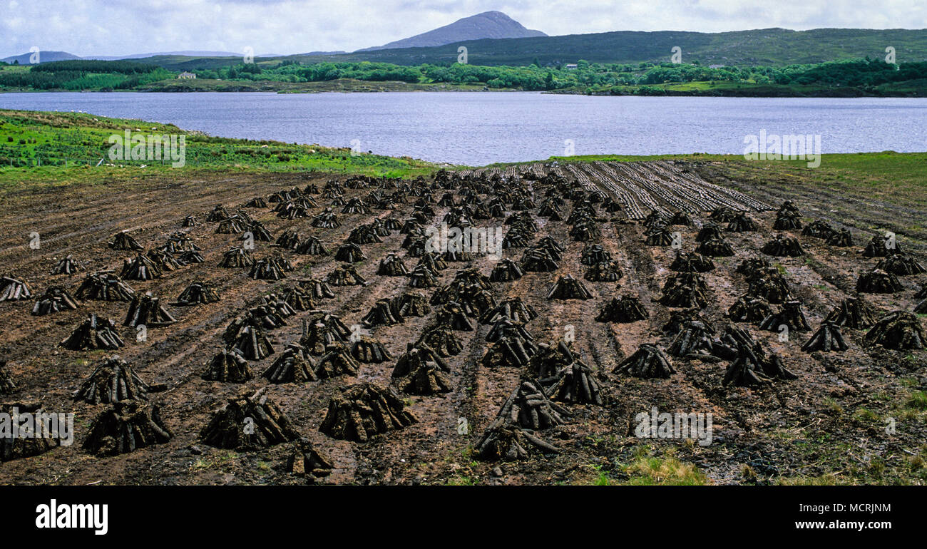 Peat Cutting for Fuel, Roundstone Blanket Bog, Connemara, County Galway ...