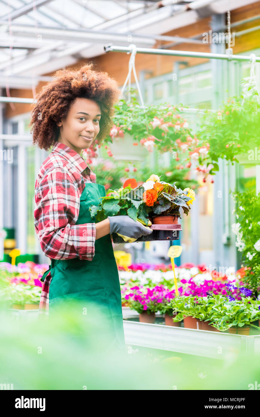 Working with flowers hi-res stock photography and images - Alamy