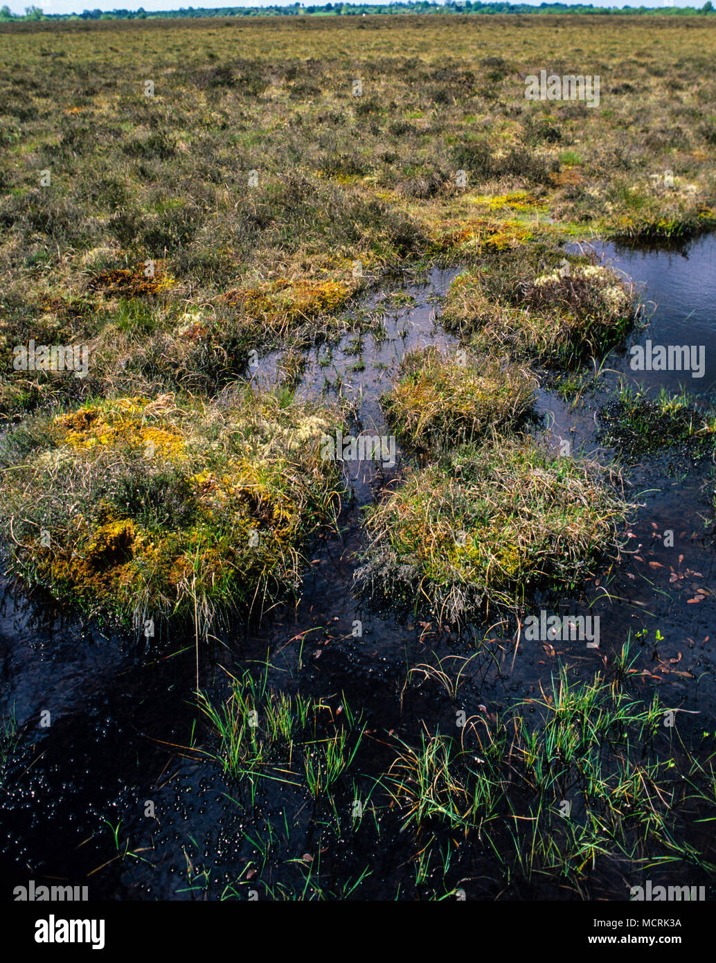 Important conservation areas hi-res stock photography and images - Alamy