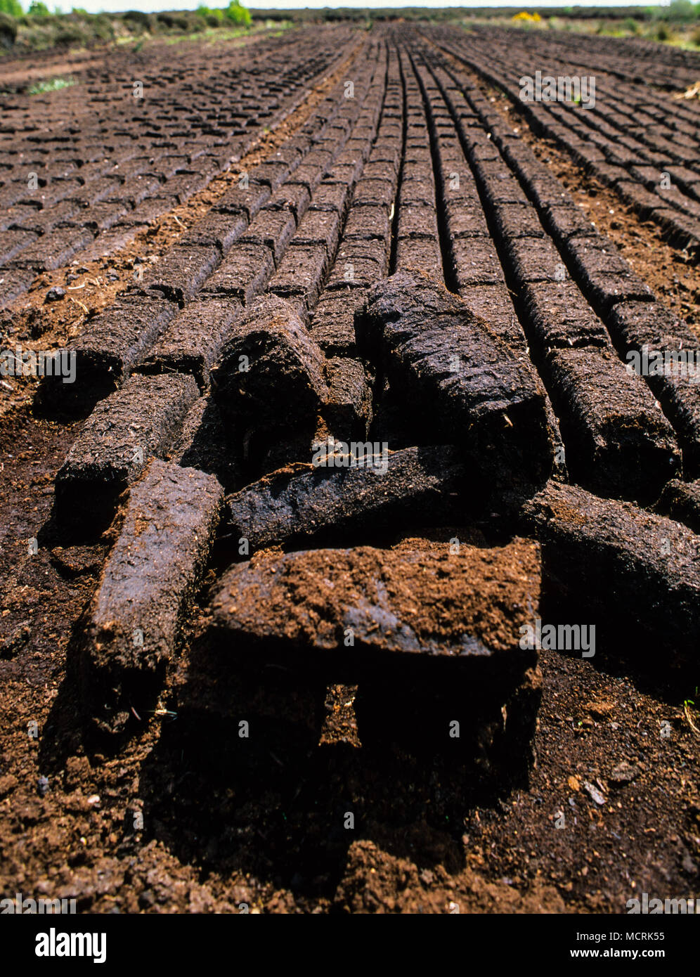 Turf peat bogs hi-res stock photography and images - Alamy