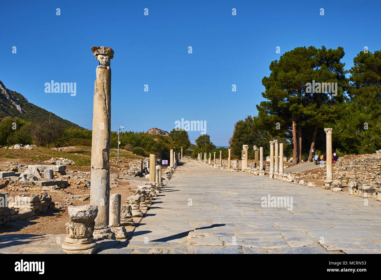 Turkey, Izmir province, Selcuk city, archaeological site of Ephesus ...