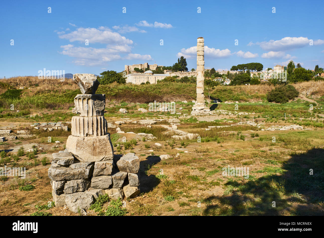 Turkey, Izmir province, Selcuk city, archaeological site of Ephesus ...