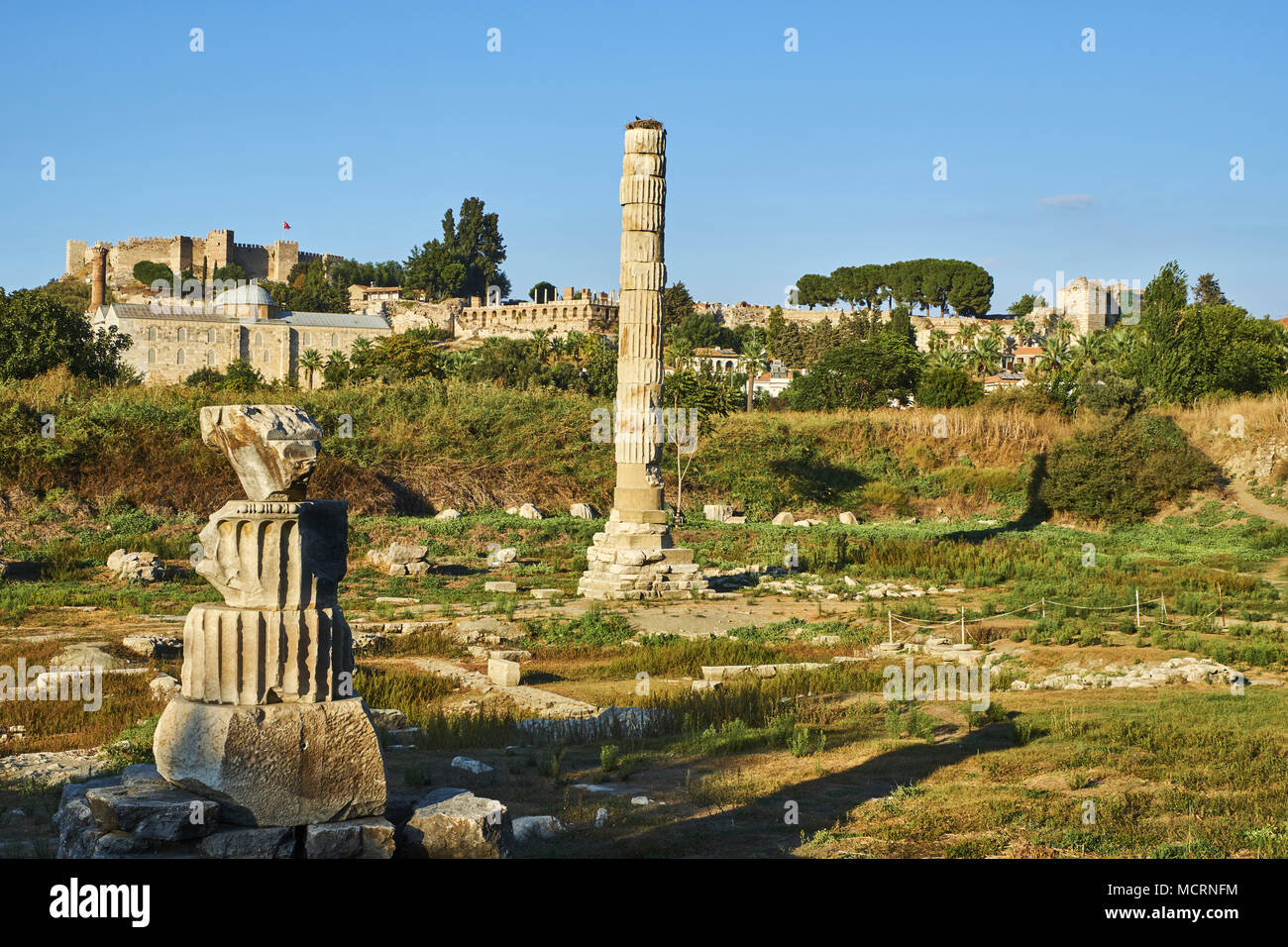 Turkey, Izmir province, Selcuk city, archaeological site of Ephesus ...