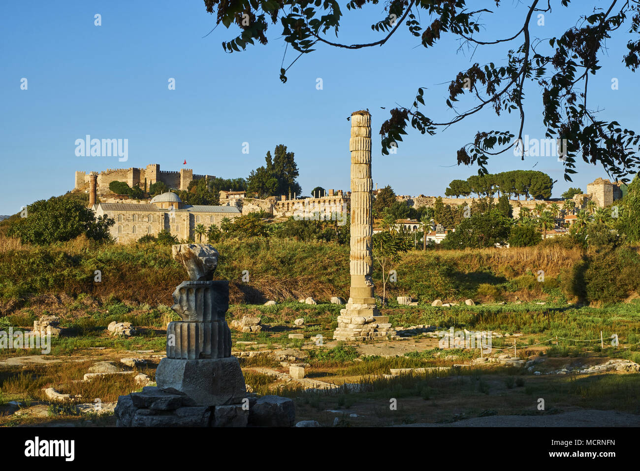 Turkey, Izmir province, Selcuk city, archaeological site of Ephesus ...