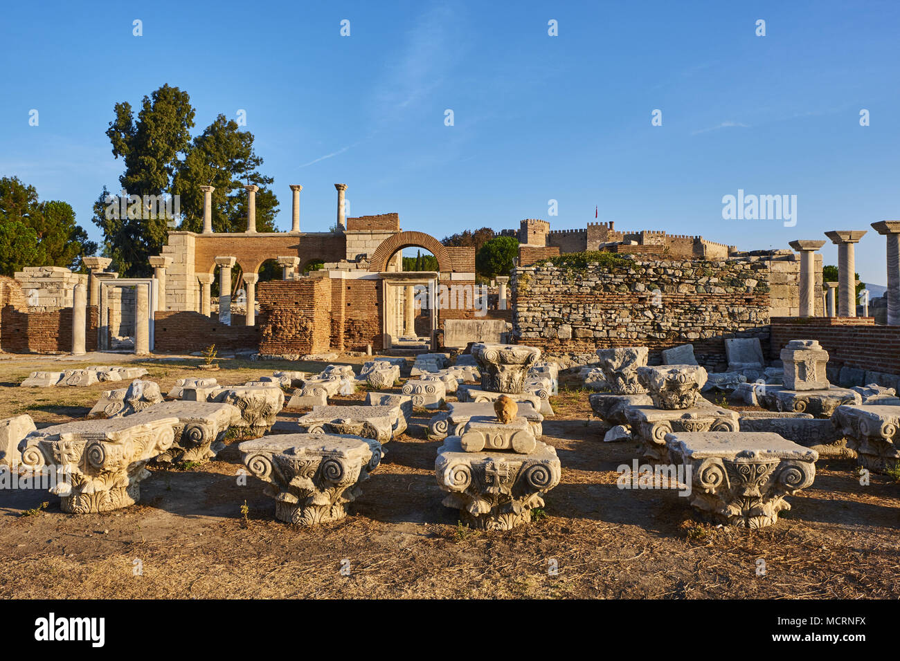 Turkey, Izmir province, Selcuk city, archaeological site of Ephesus ...