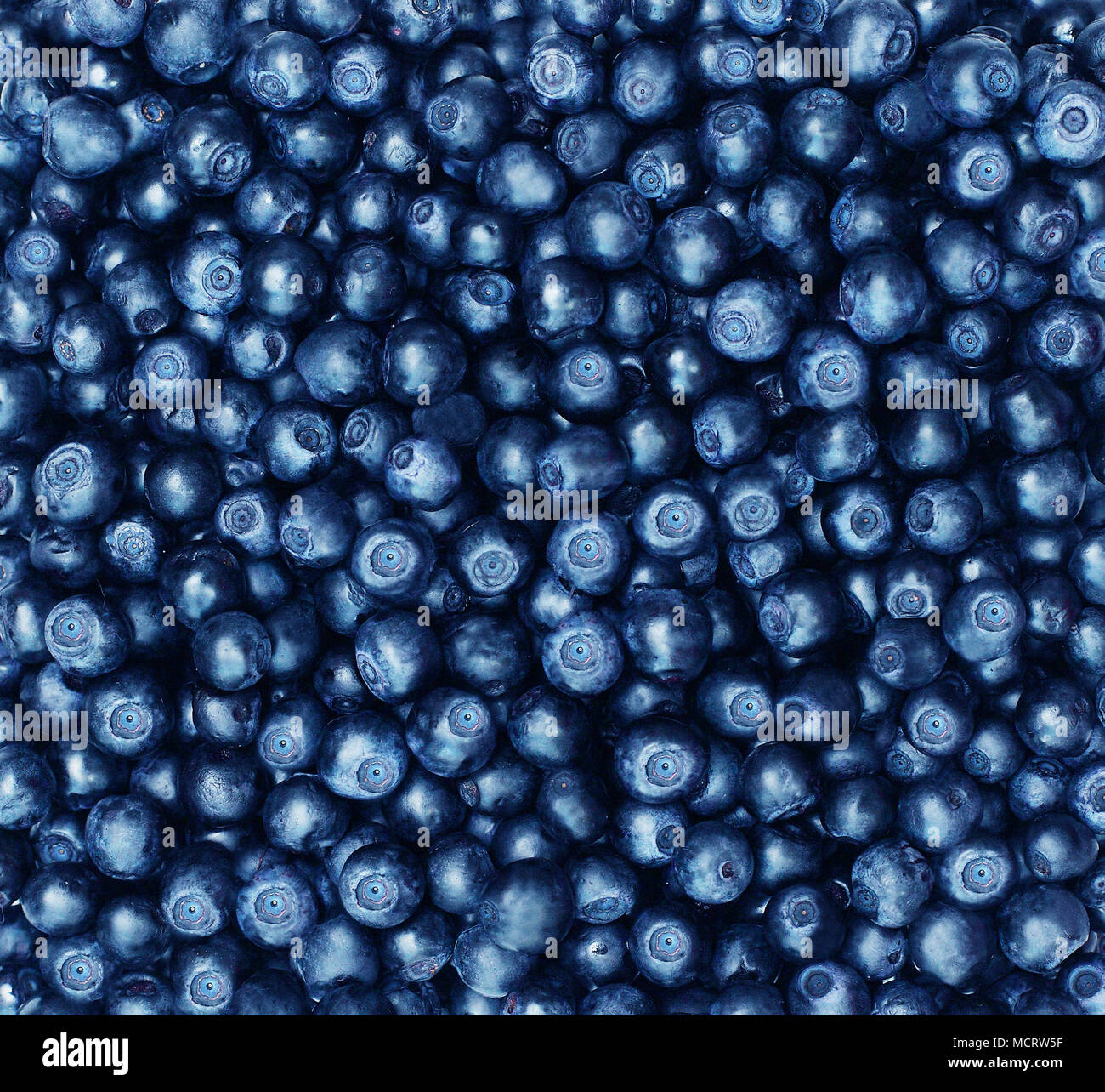 Blueberries, color background Stock Photo - Alamy