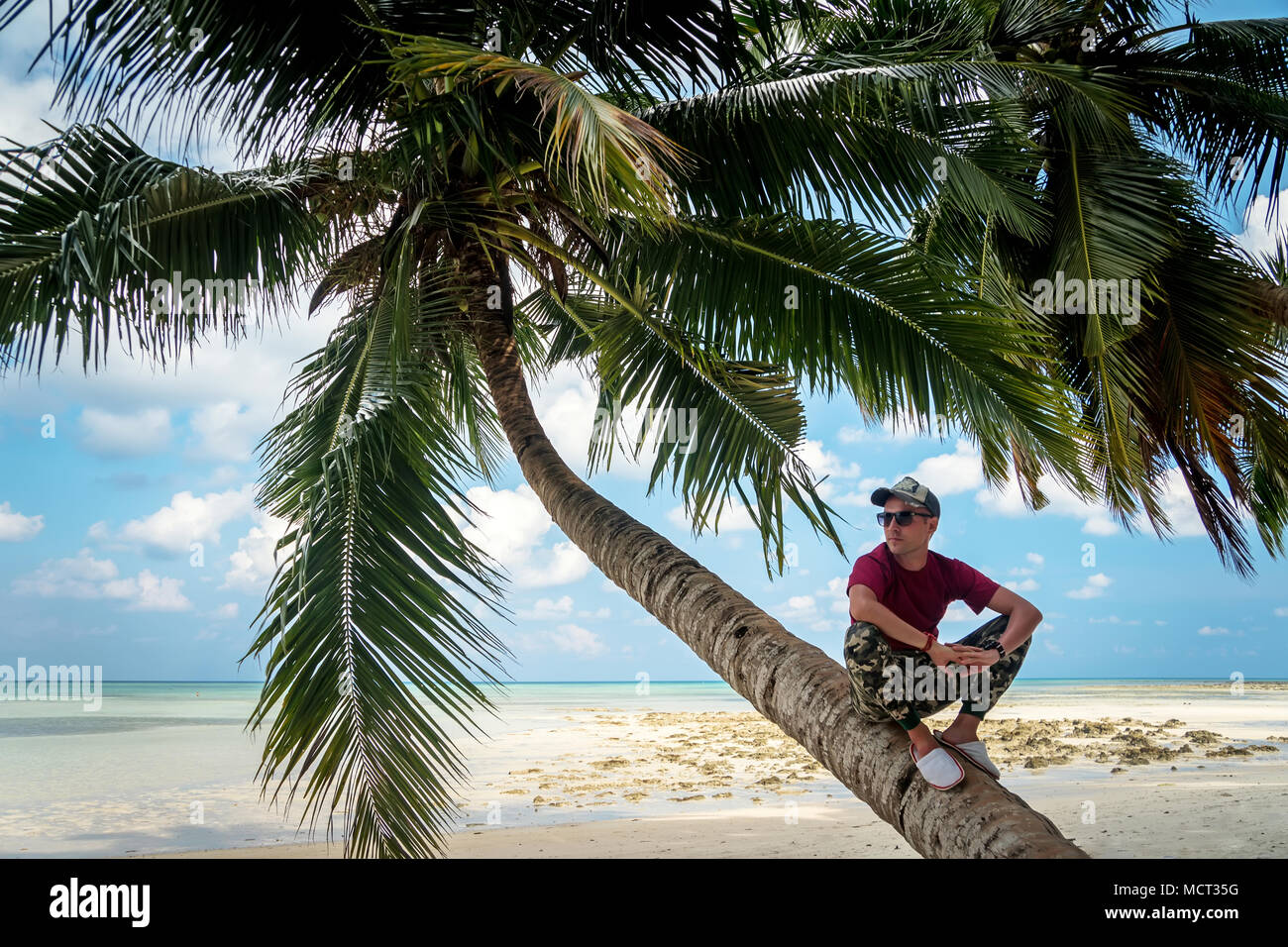 Sitting under palm tree hi-res stock photography and images - Alamy