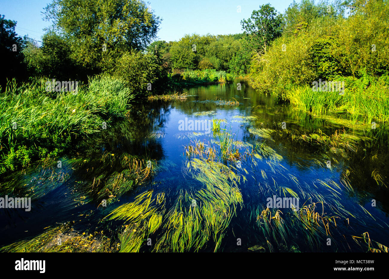 River colne heathrow airport hi-res stock photography and images - Alamy