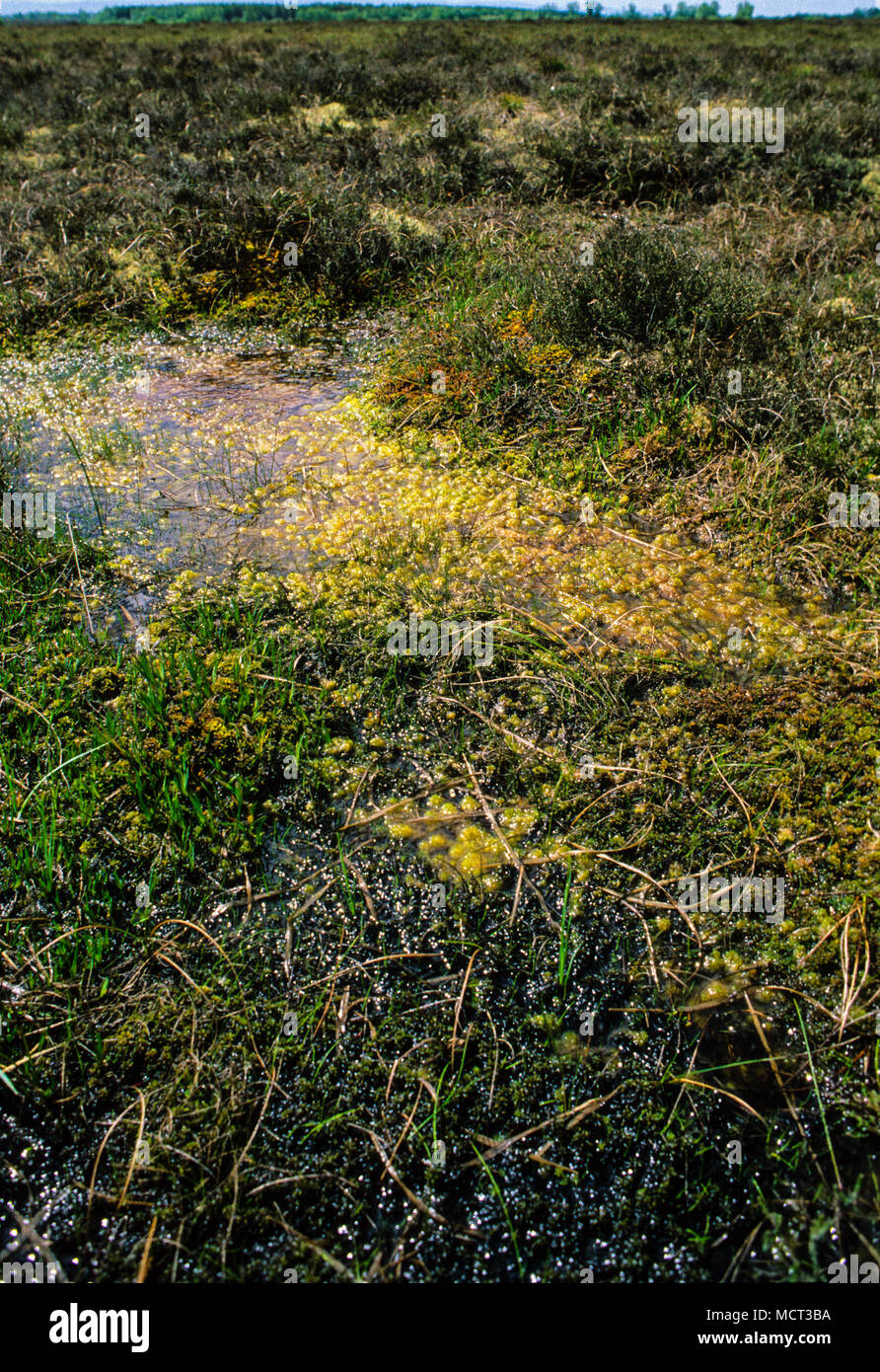 Special areas of conservation ireland hi-res stock photography and ...