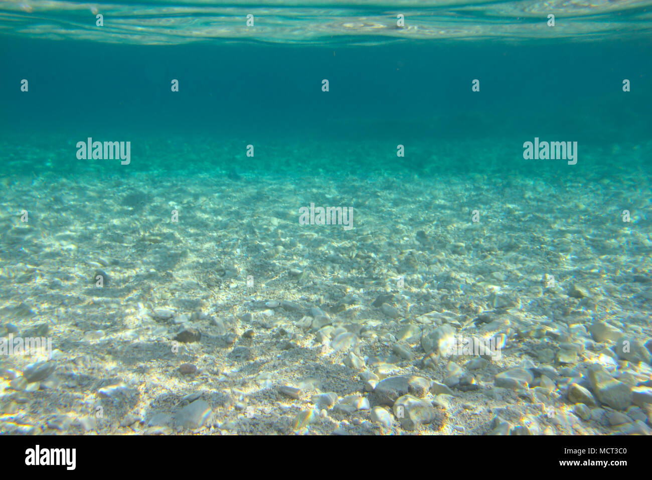 Ocean Surface From Below