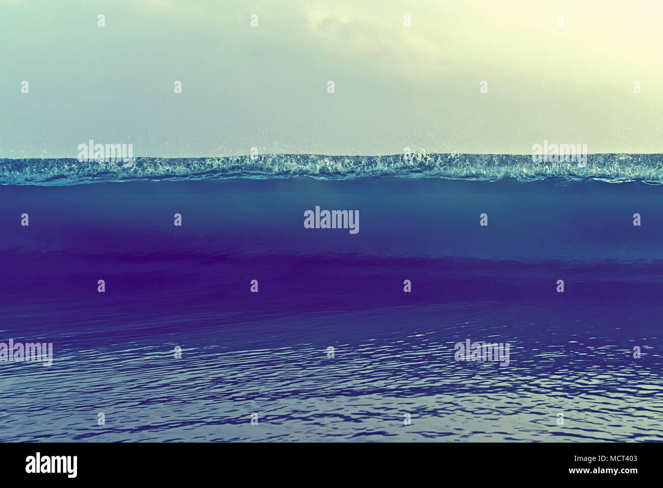 Barreling wave and surfer hi-res stock photography and images - Alamy