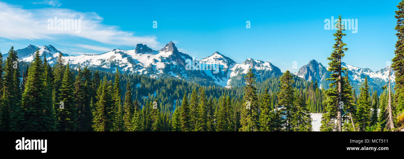 Paradise area at Mount Rainier National Park, Washington State, USA ...