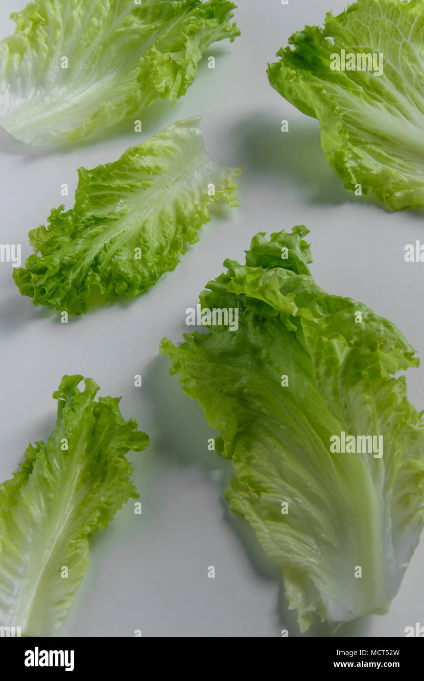 Fresh background of raw lettuce leaves on white background, healthy ...