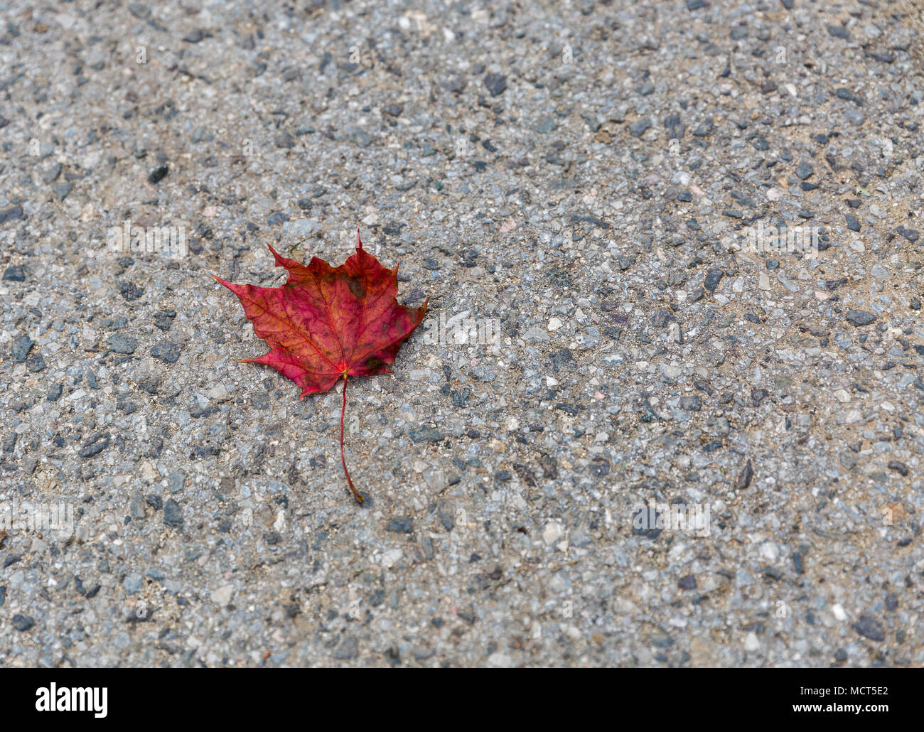 Season street hi-res stock photography and images - Alamy