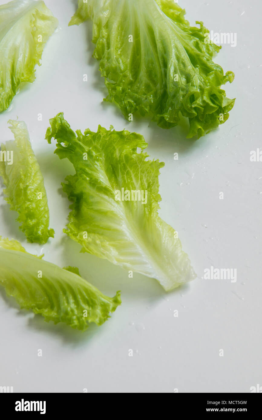 Isolated fresh lettuce leaves on white background, space for text or ...