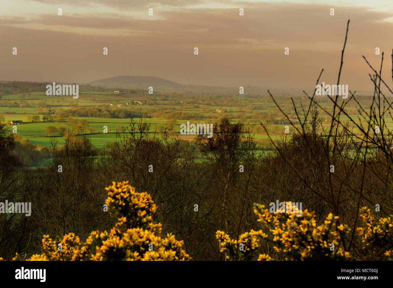 Landscape wiev from East Knoyle - natural scenery Stock Photo - Alamy