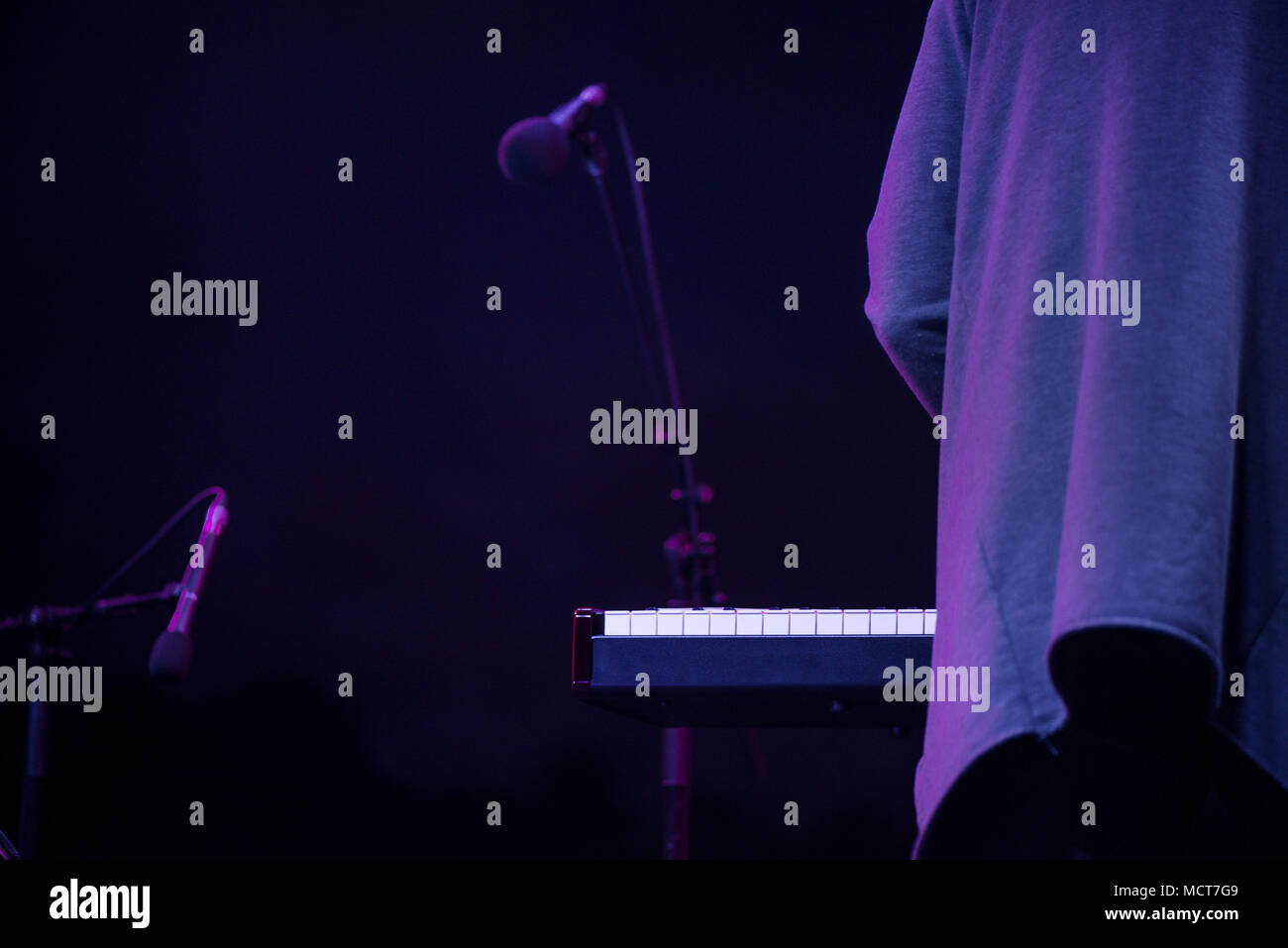 Male musician plays a musical instrument on the stage. Artist playing ...