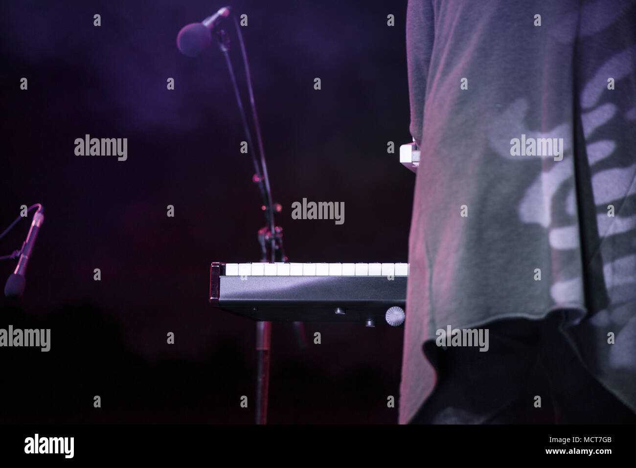 Male musician plays a musical instrument on the stage. Artist playing ...