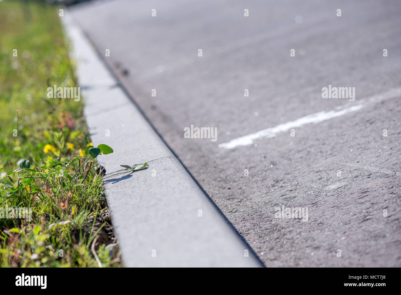 Grass growing out from concrete edge on side of a parking lot Stock ...