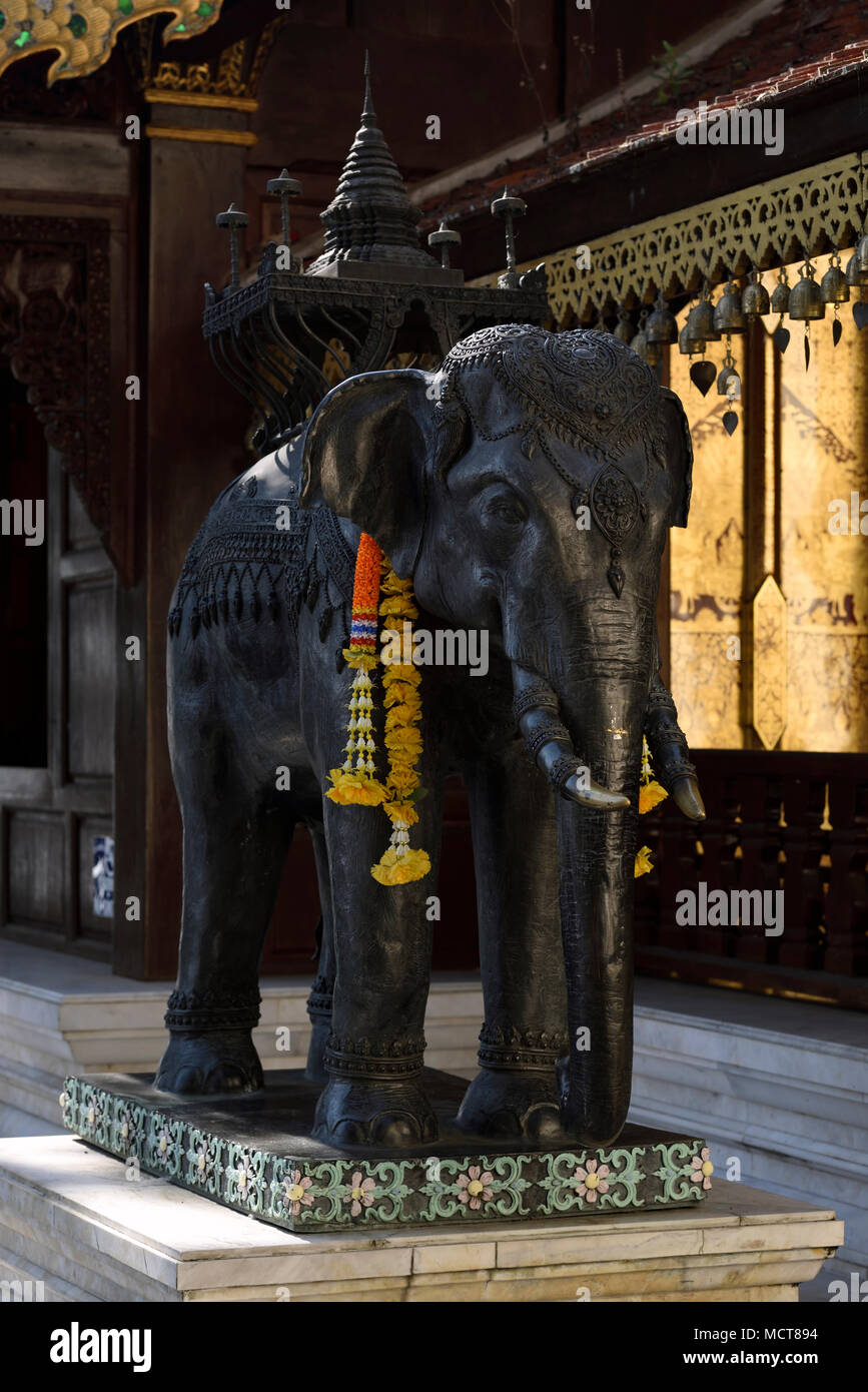 Decorated elephant thailand asia hi-res stock photography and images ...