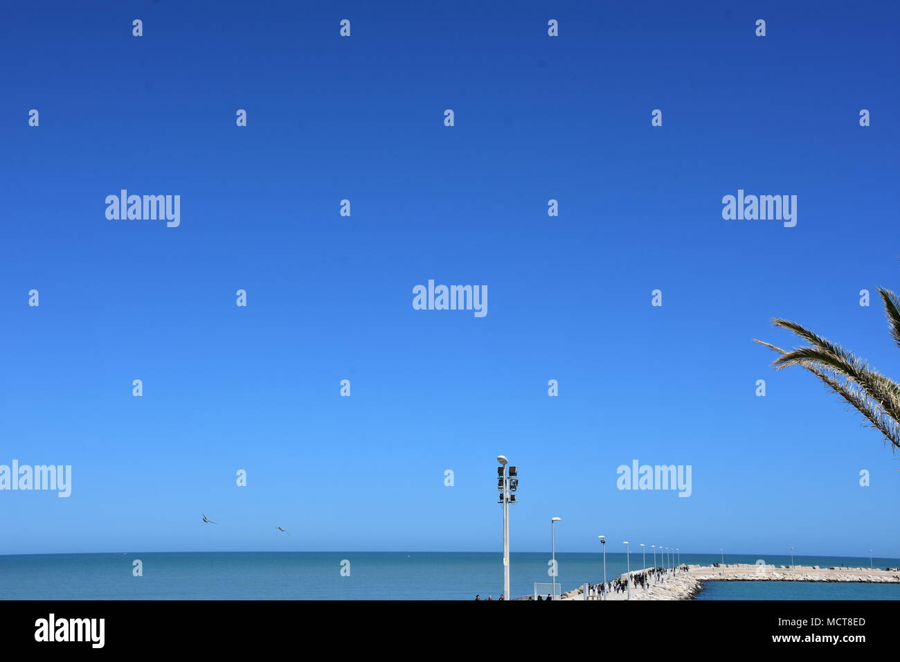Trani beach hi-res stock photography and images - Alamy