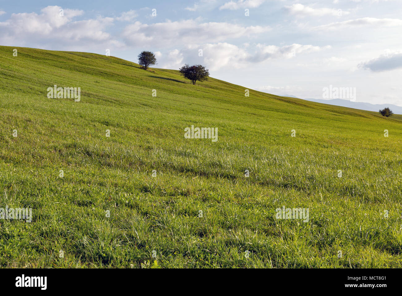 Ecological horizon landscape countryside hi-res stock photography and ...