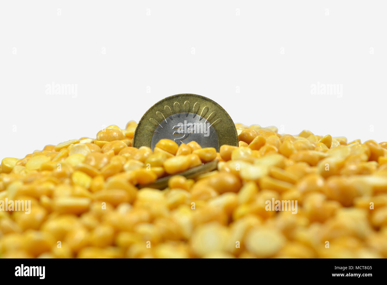 Full of Arhar or masoor Dhal or Toor Dal Pigeon Pea in bag Stock Photo ...