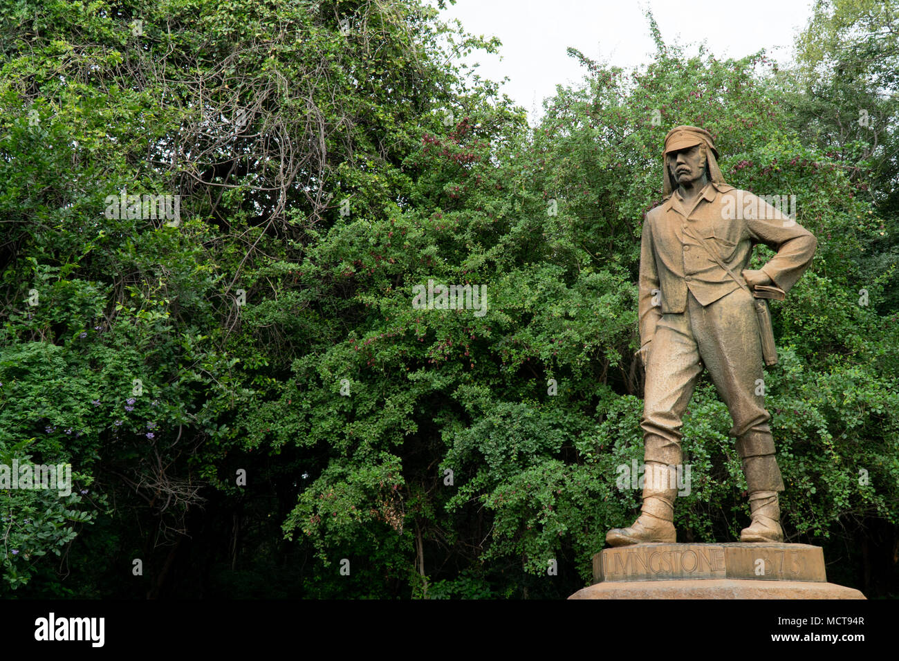 David Livingstone's statue Victoria falls, Zimbabwe Stock Photo - Alamy