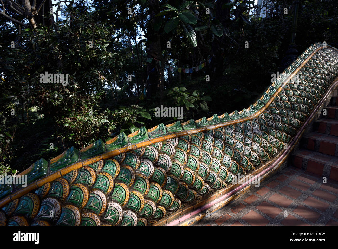 dragon tail at naga stairs, the long stairway to temple Wat Phrathat ...