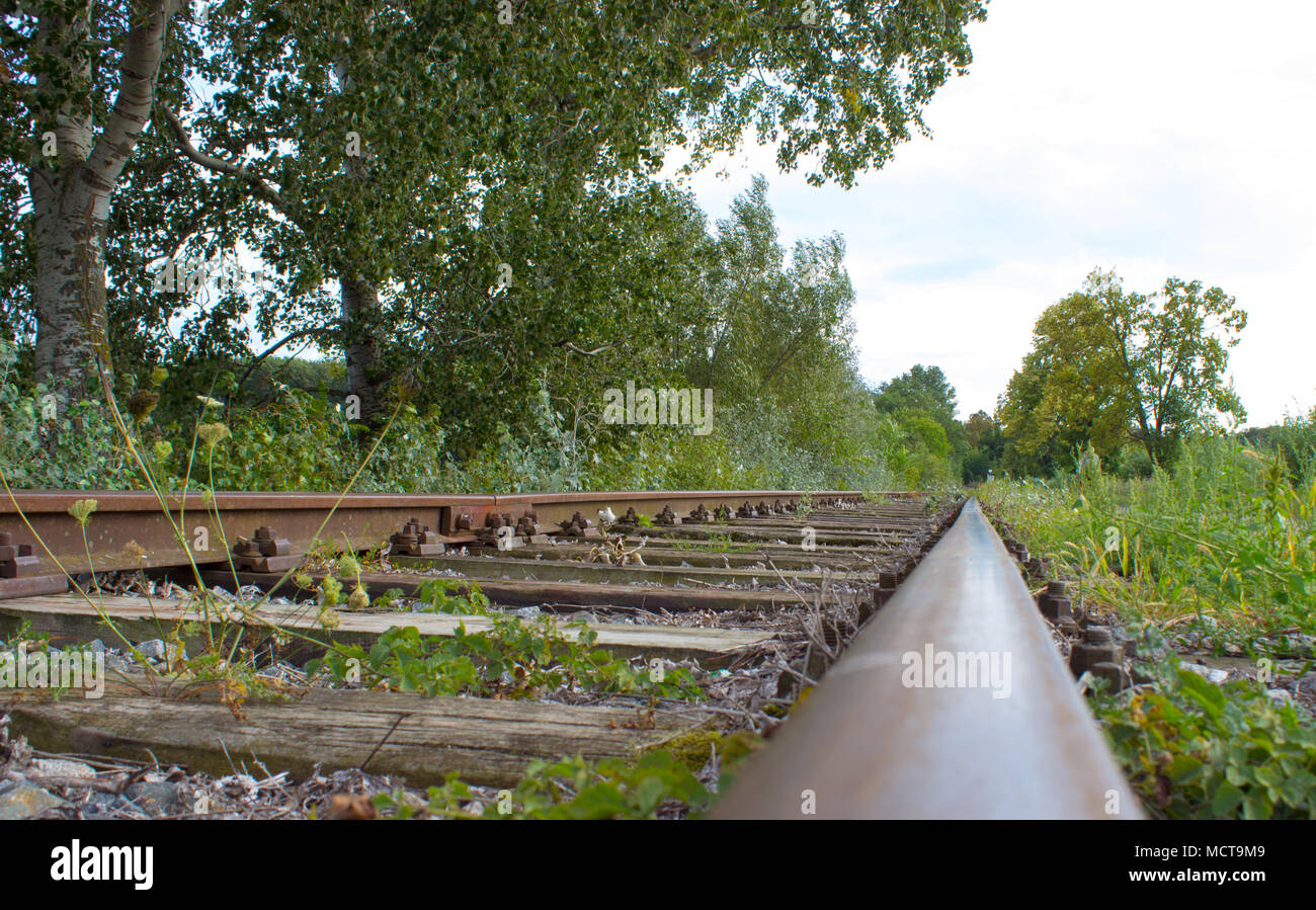 Railroad tracks are running behind the horizon. Trees and bushes grow ...