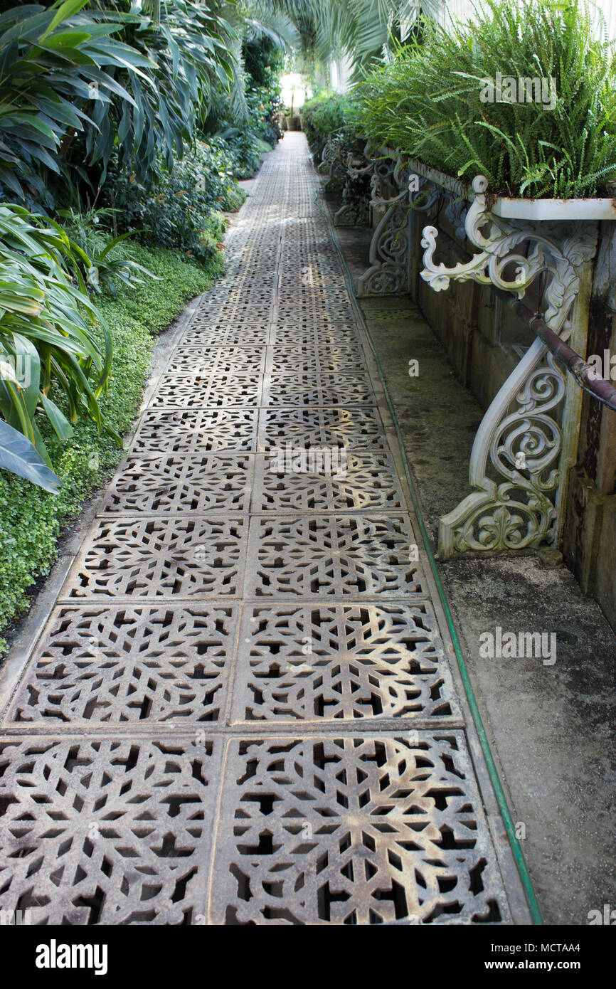 Beautiful greenhouse flooring hi-res stock photography and images - Alamy