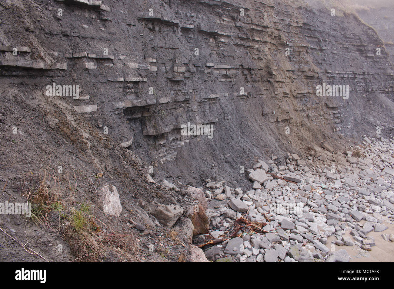 Rock strata of the Dorset coast, clearly showing the different layers ...
