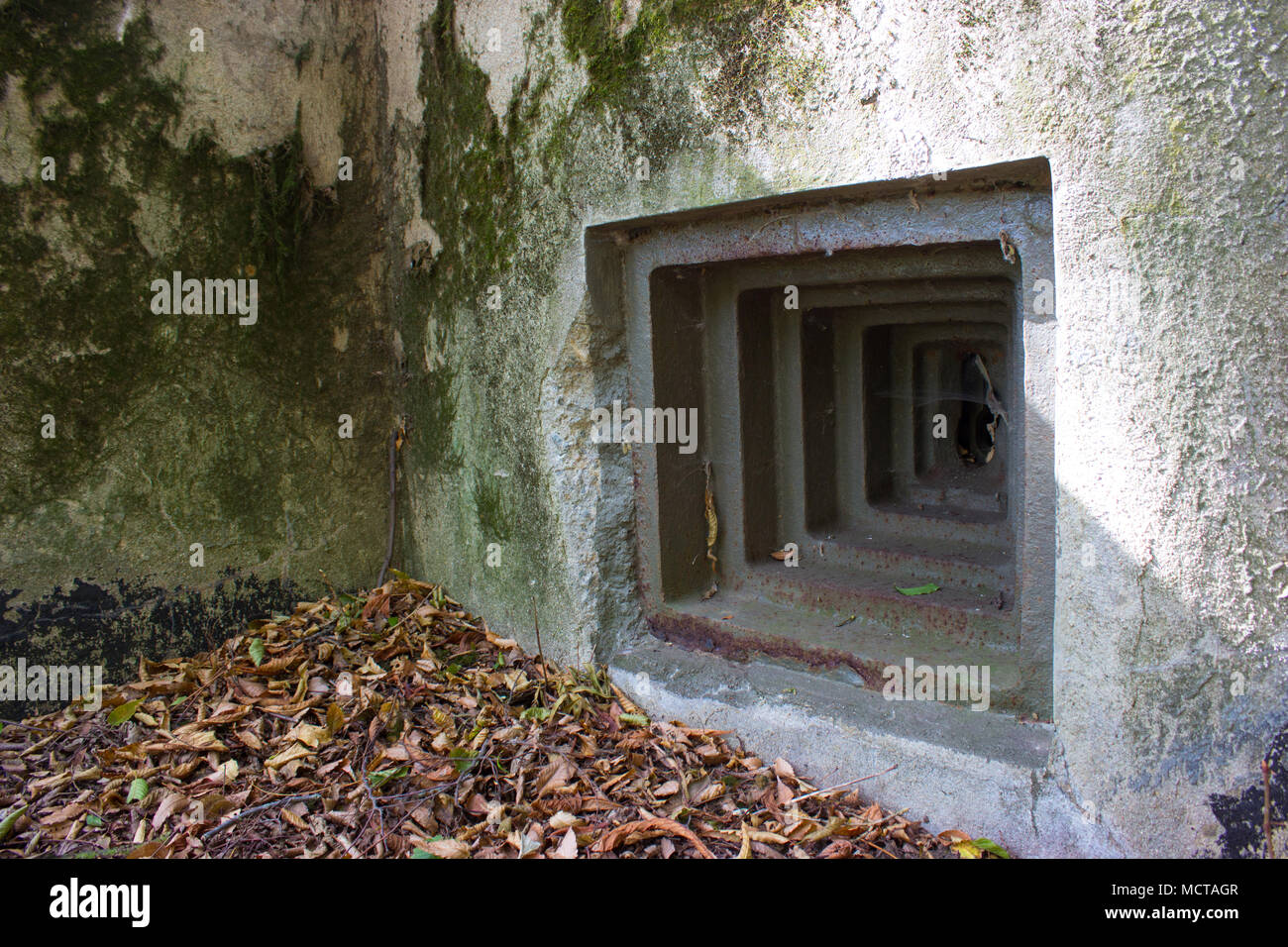 A loophole of old military bunker in forest. The concrete bunker is ...