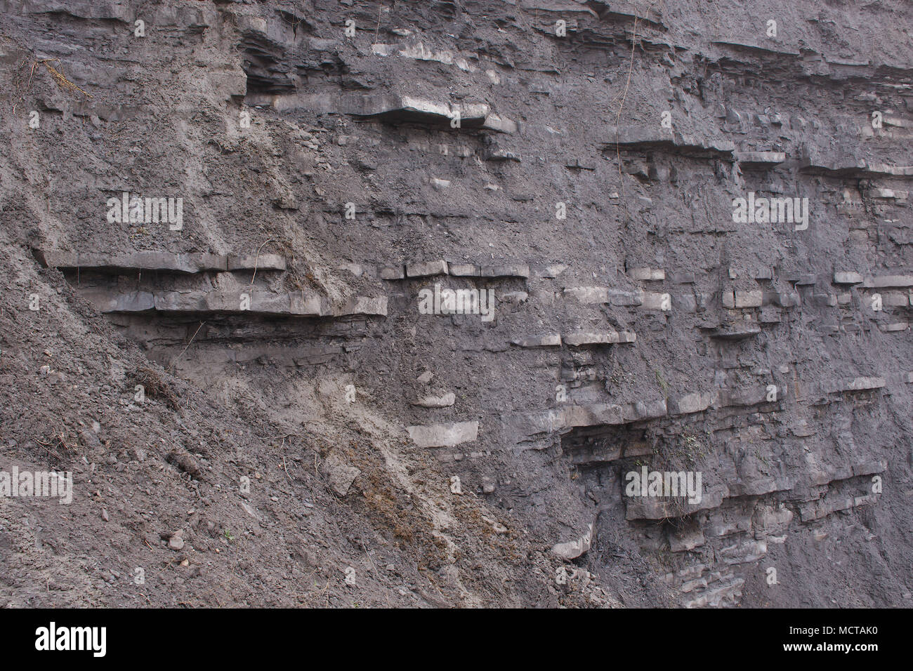 Sedimentary rock layers fossil hi-res stock photography and images - Alamy