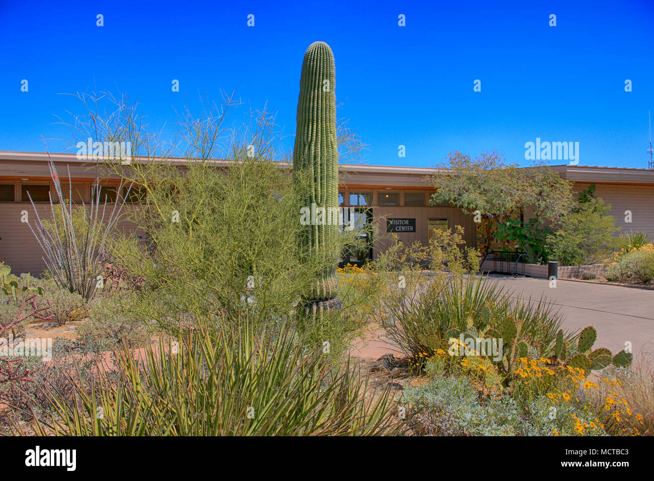 The Saguaro East Rincon Mountain National Park welcome center in Tucson ...