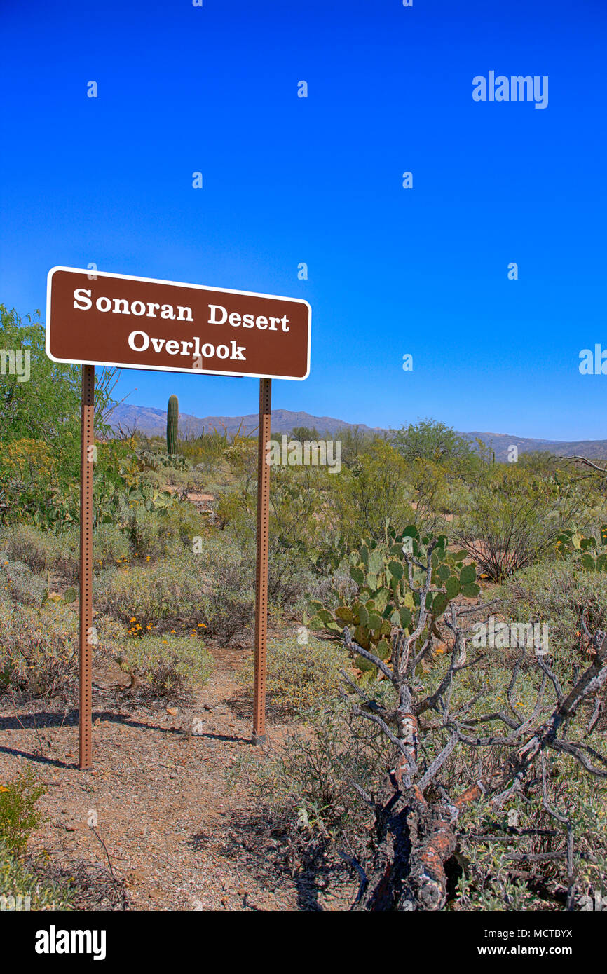 The Sonoran Desert Overlook sign in Saguaro East Rincon Mountain ...