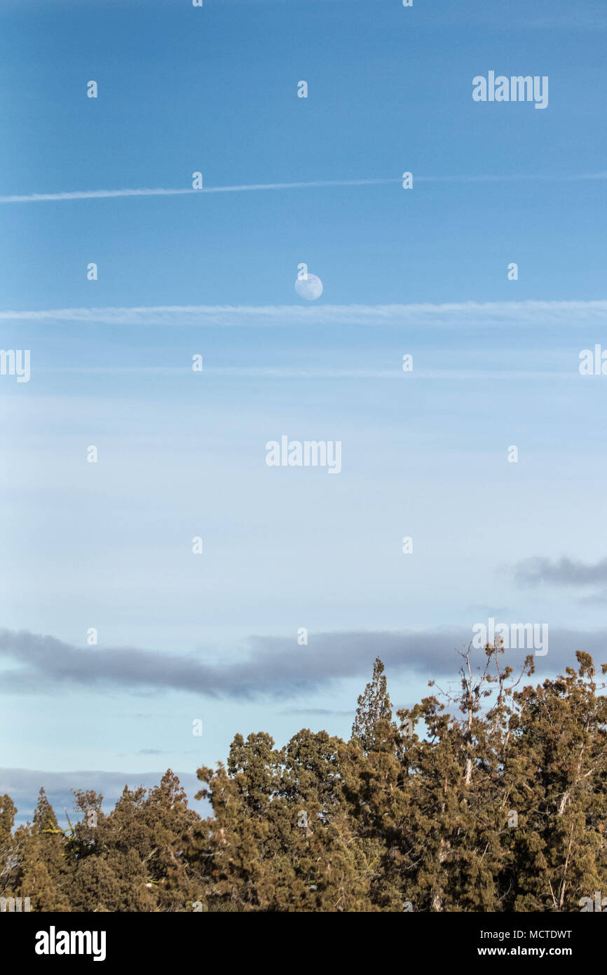 Full moon rising over a juniper woodland, Tumalo, Oregon Stock Photo ...