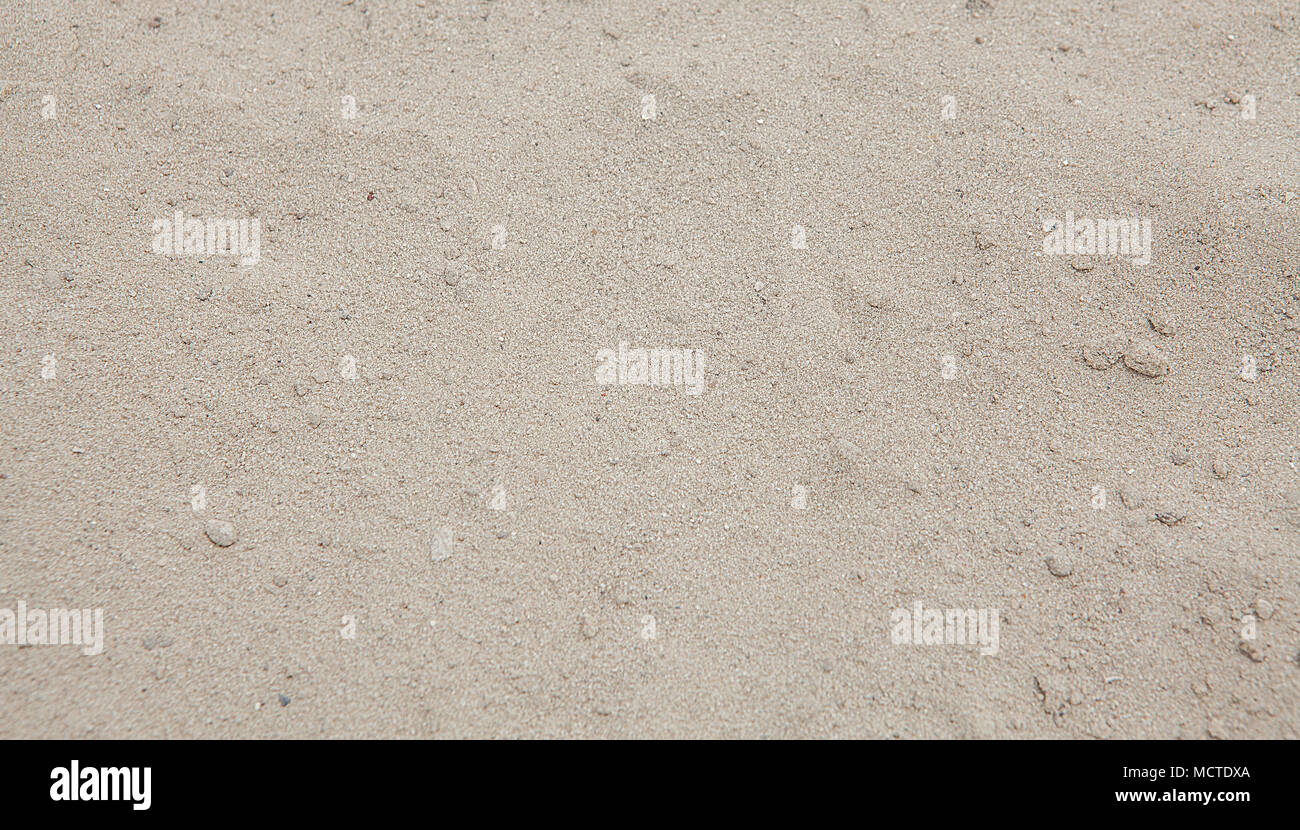 Sand texture. Sandy beach for background.Top view Stock Photo - Alamy