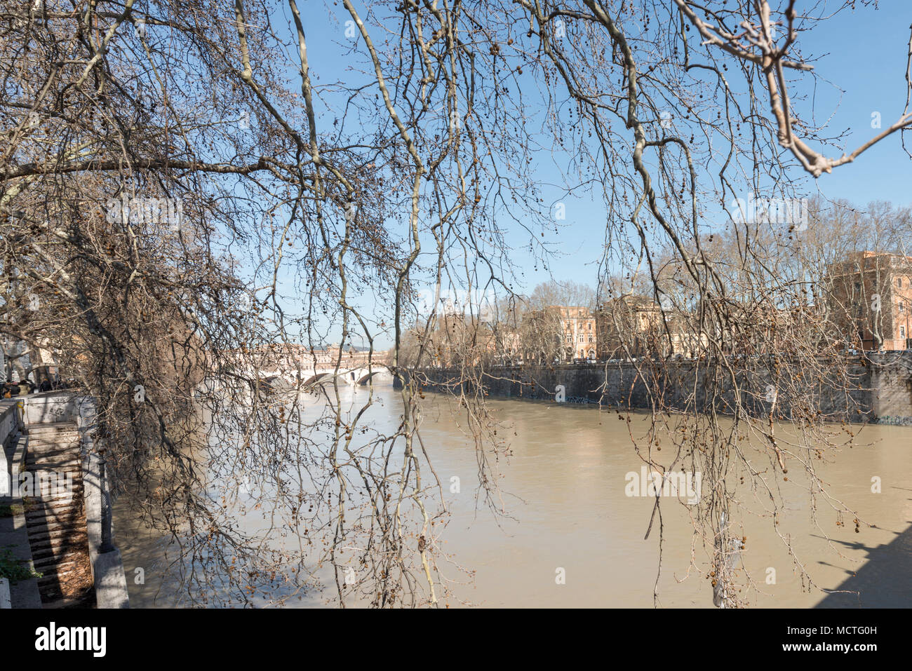 Horizontal picture of the trees over the Tiber River, located in Rome ...