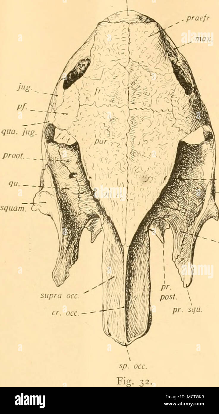 Opot hi-res stock photography and images - Alamy