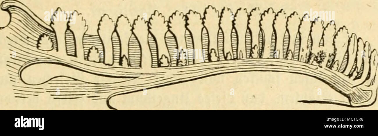 Eguan hi-res stock photography and images - Alamy