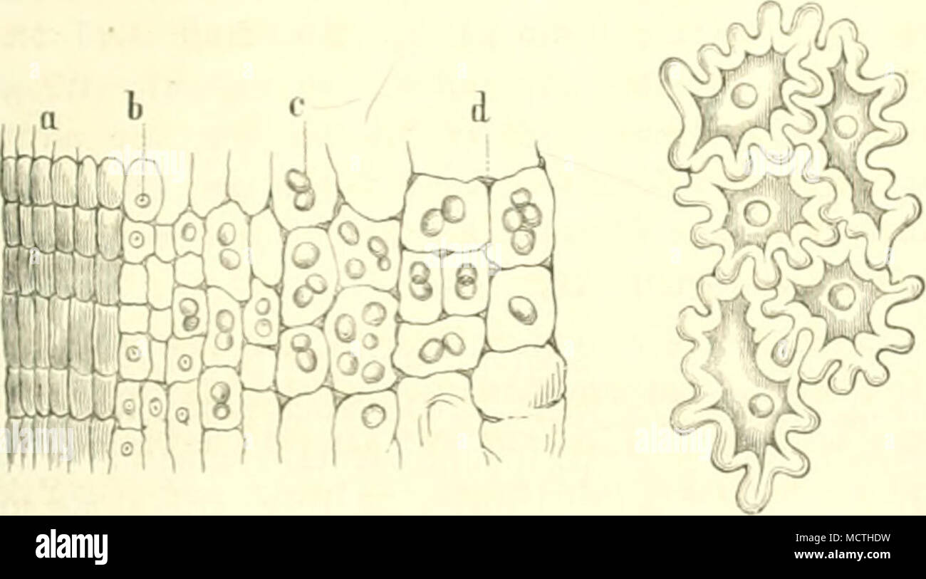 Intrn hi-res stock photography and images - Alamy