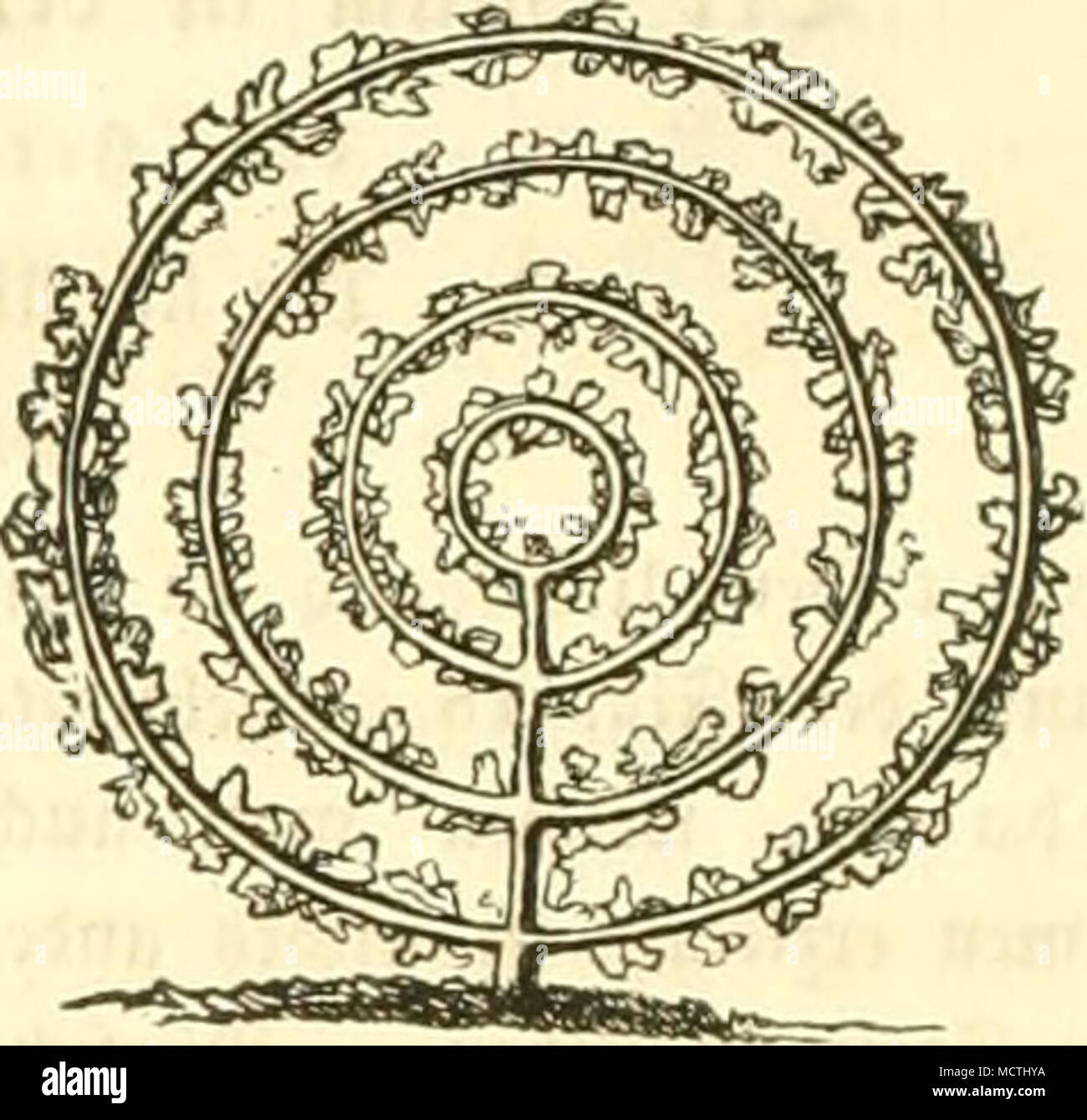 Fcy hi-res stock photography and images - Alamy