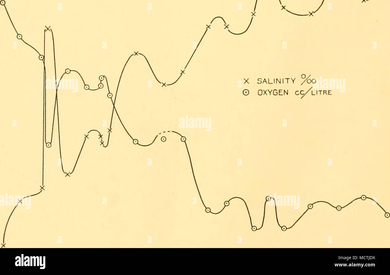 Ocean Salinity Graph