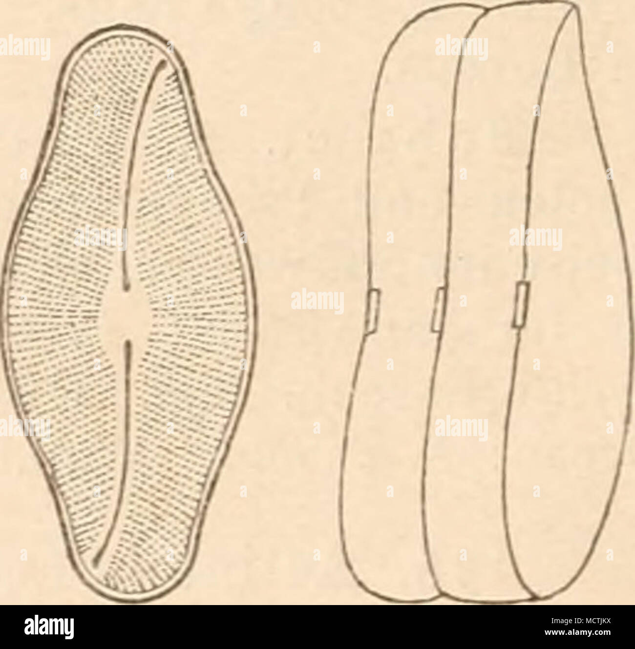 Kurze zeichnung hi-res stock photography and images - Alamy