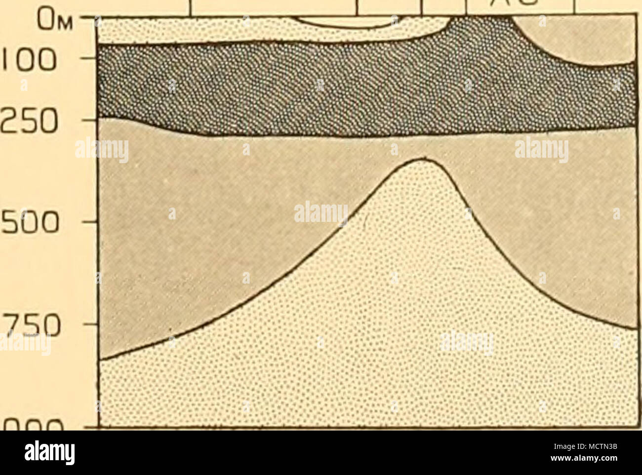 Macroplankton hi-res stock photography and images - Alamy
